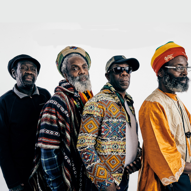 Black Roots — Plone site